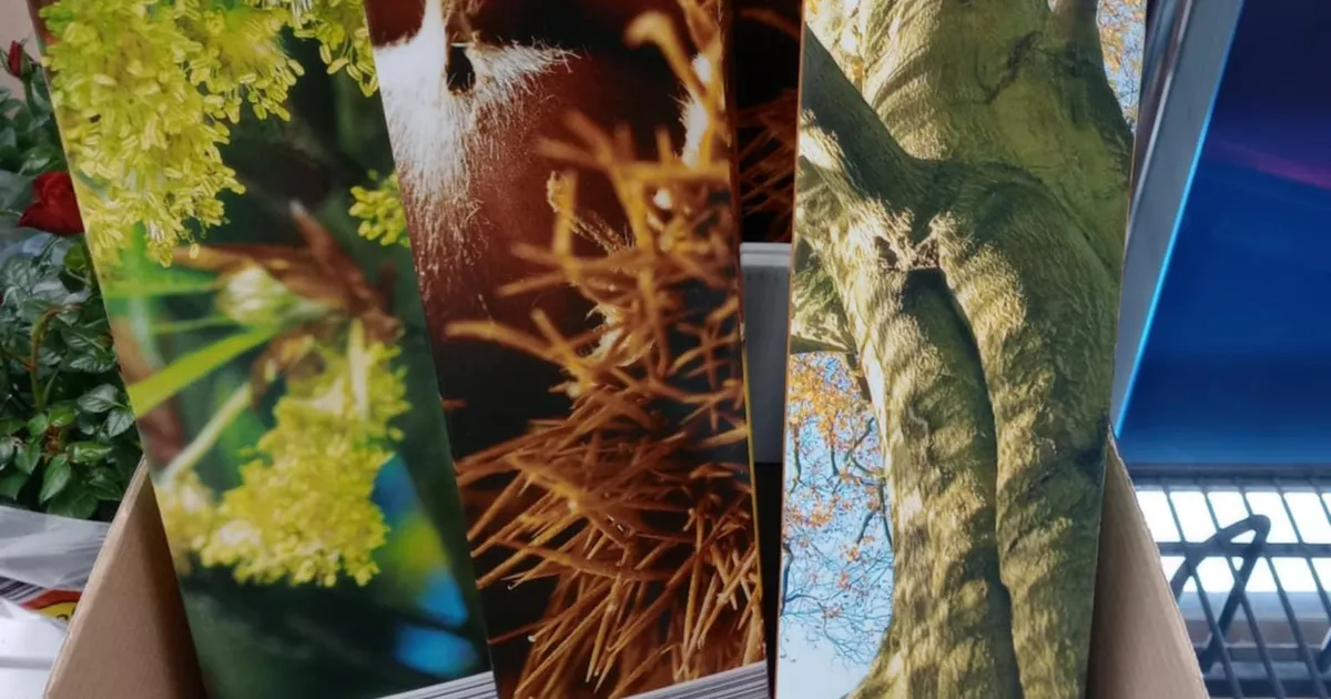 Pettus või soodne võimalus: lõunamaised puud Eesti toidupoes