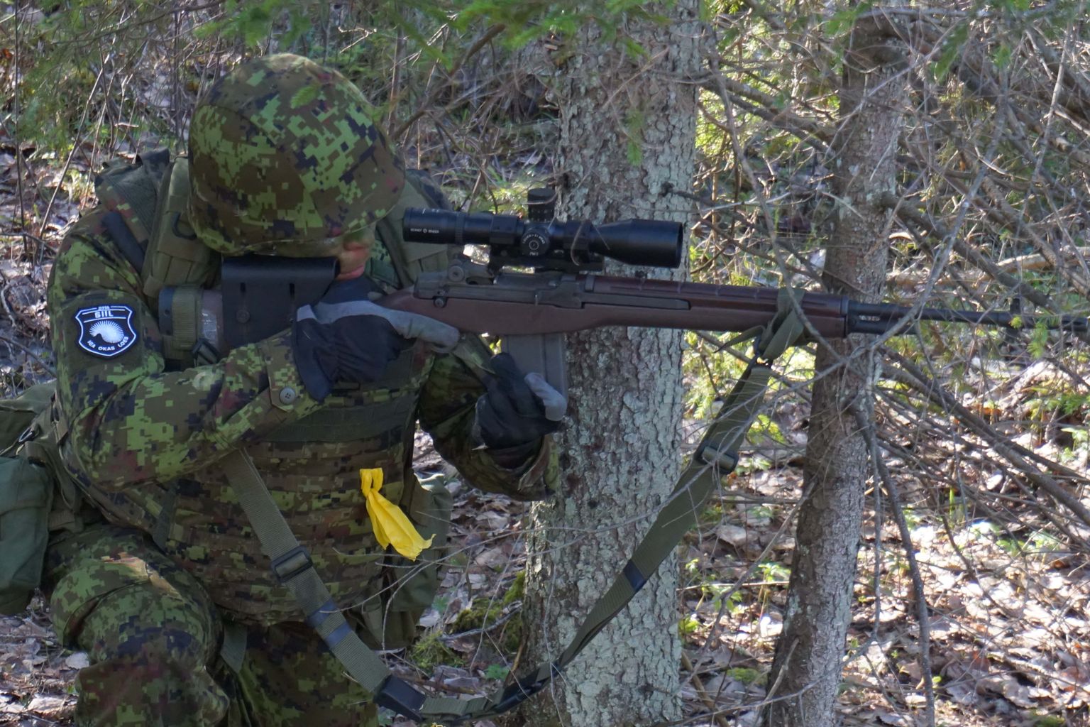 Lugeja kirjutab: Eesti võtku riigikaitses õppust Šveitsilt