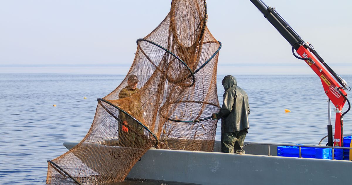 Eesti kalandus saab 140 miljoni eurose süsti