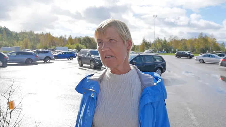 KÜSITLUS Sidrun, küüslauk, mesi ja ingver – viiruste ajal parim ravim