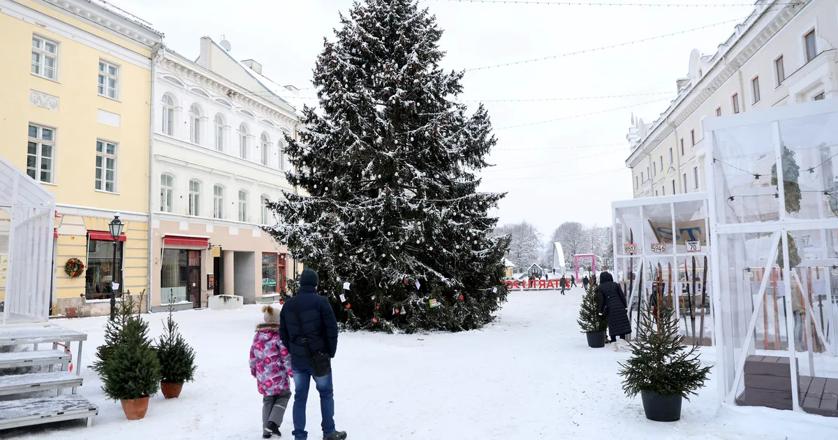 TÄNAVAKÜSITLUS Mida arvavad tartlased tänavusest jõulupuust?