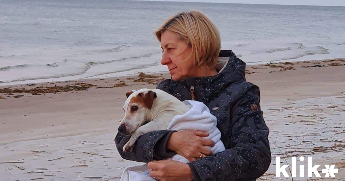 Katru dienu kāpņu telpā pamests kucēns. Suņu “ražošana” turpinās ...