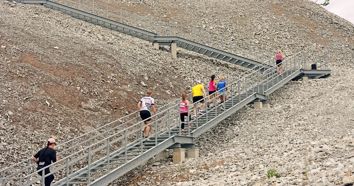 Vanglateenistuse jooks viib Tammiku mäele