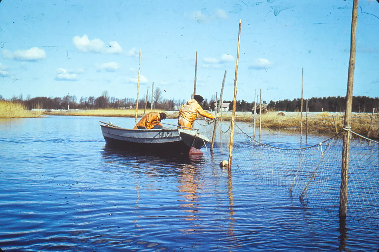 RETROFOTOD: Saare Kalur – kas 70 või 57 aastat vana?