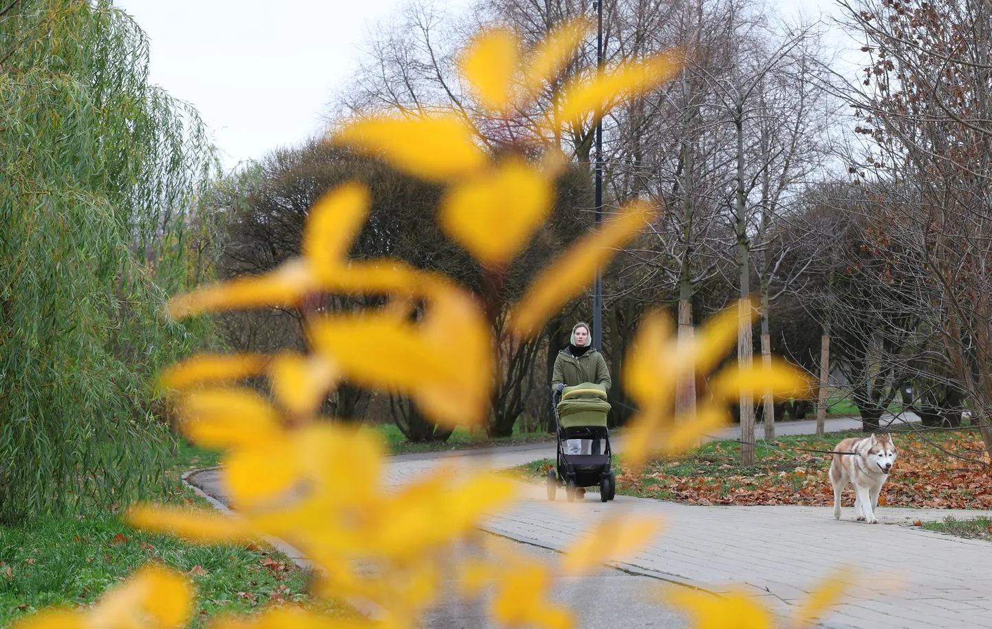 Lāčplēša dienā saglabāsies apmākušās debesis