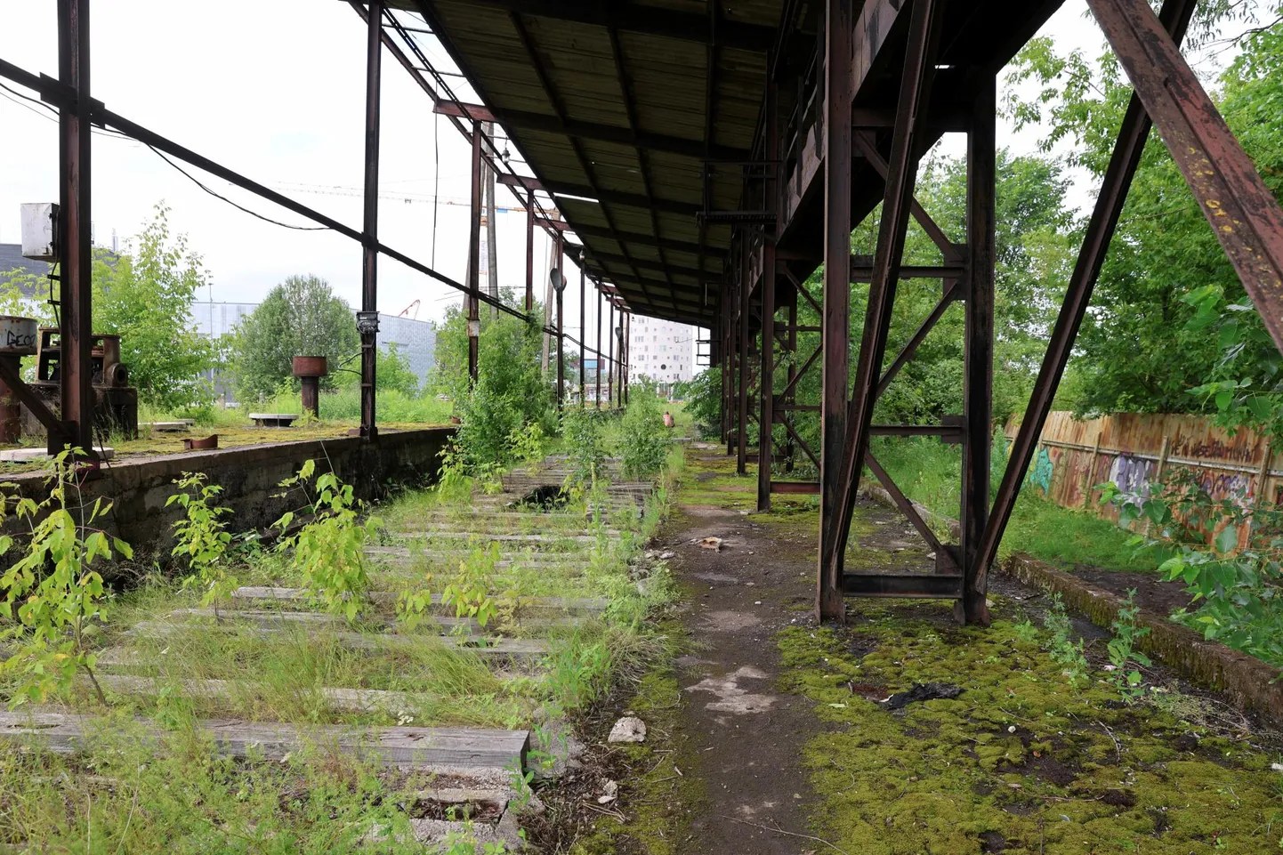 Estakaadi ja reostuse koristusele kulub pea pool miljonit eurot