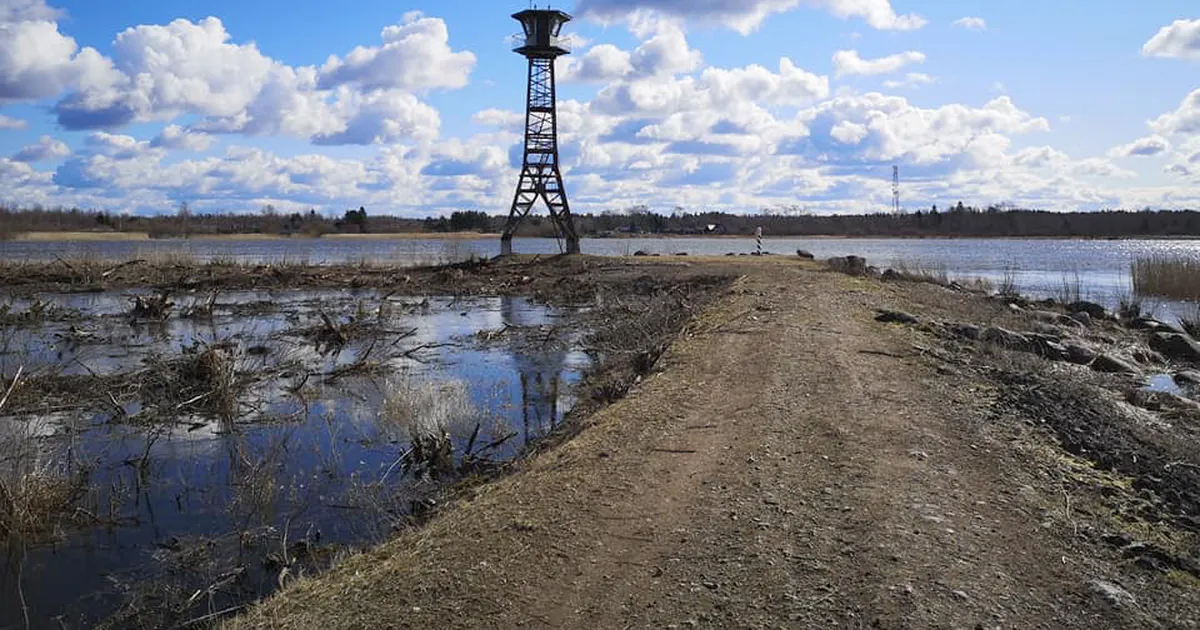 Vasknarva piirivalvetorni asemele kerkib linnuvaatlustorn