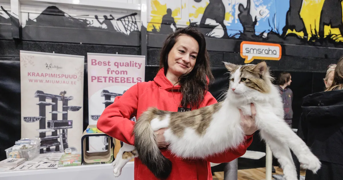 GALERII 14 tõugu maailma parimaid nurrujaid! Tallinnas toimus ...