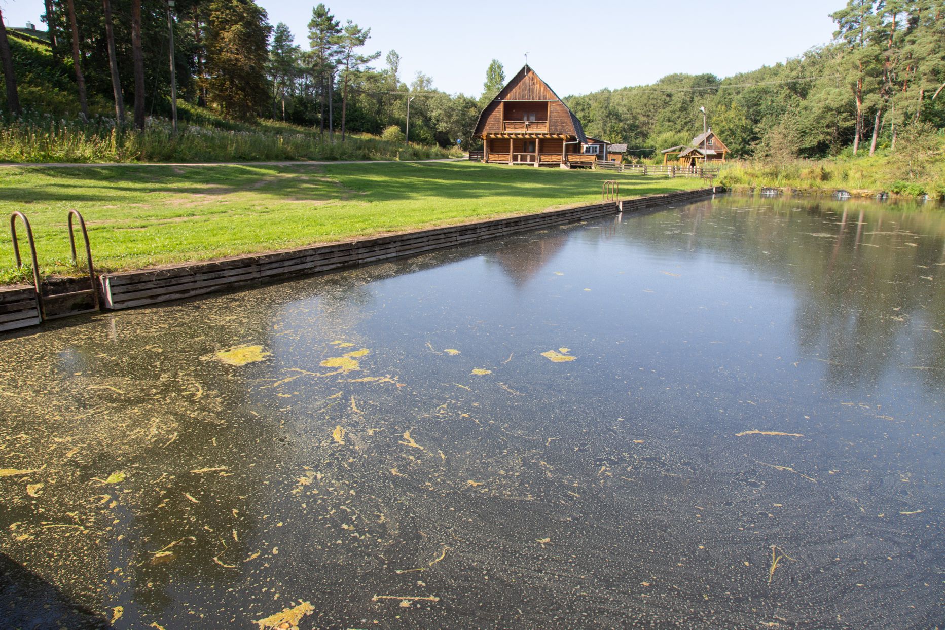 Uueveski basseinides on liiga palju enterokokibaktereid