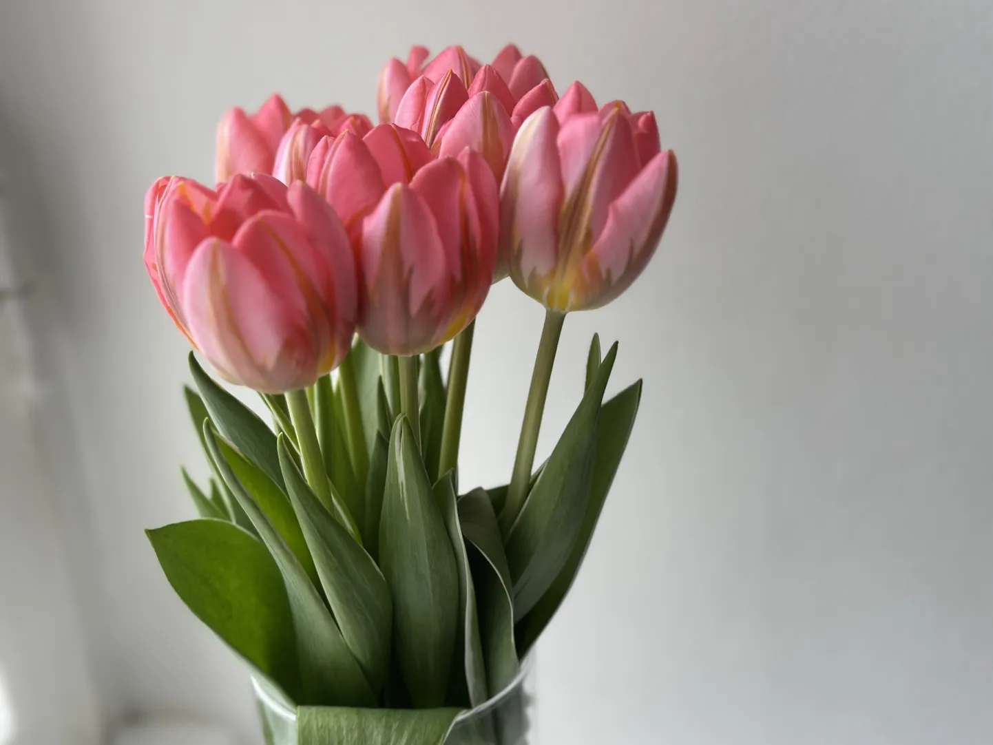 ÕNNITLEME! Väärikad sünnipäevalapsed Saare- ja Muhumaal