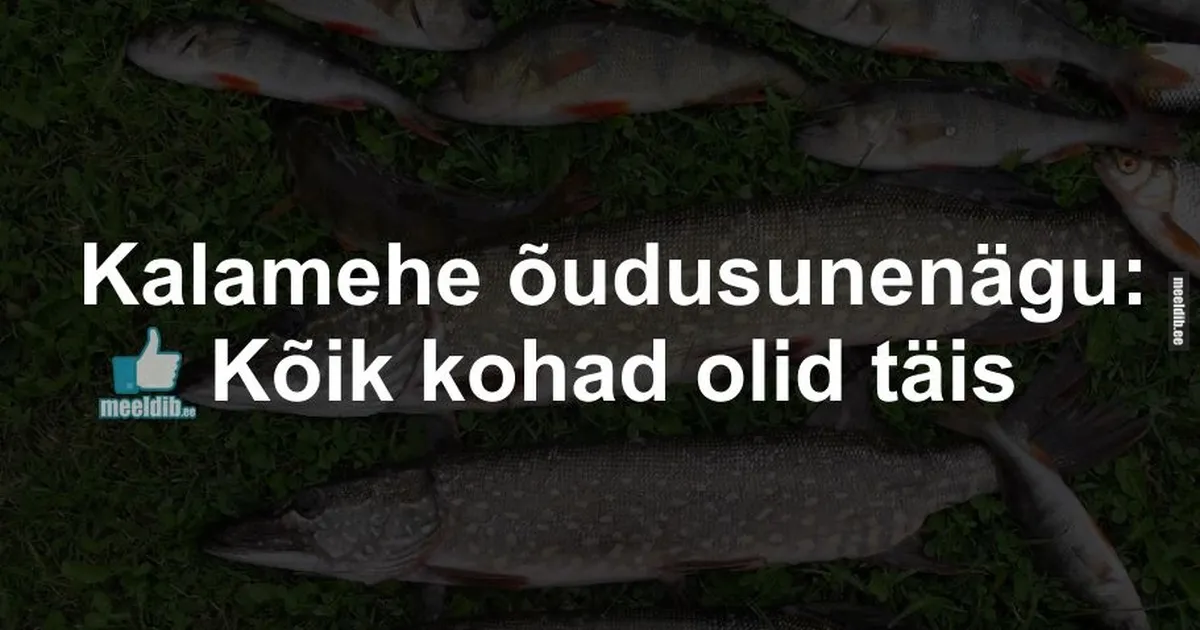 Kalamehe õudusunenägu