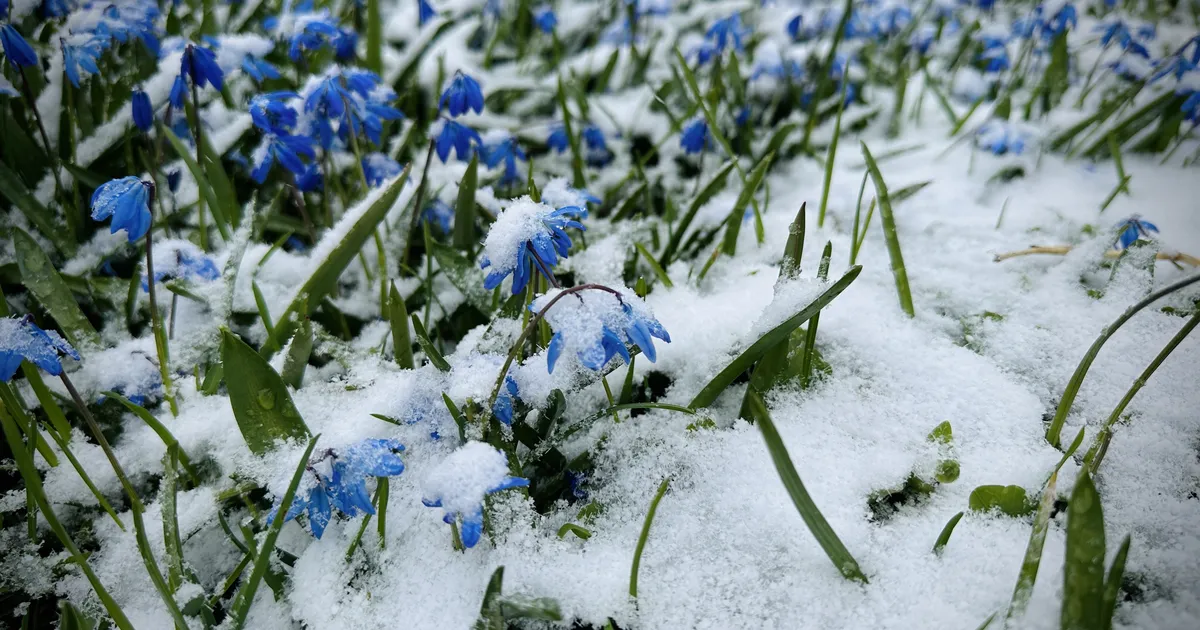 HOIATUS Ilm pöörab külmaks - temperatuur langeb, teed muutuvad libedaks ...
