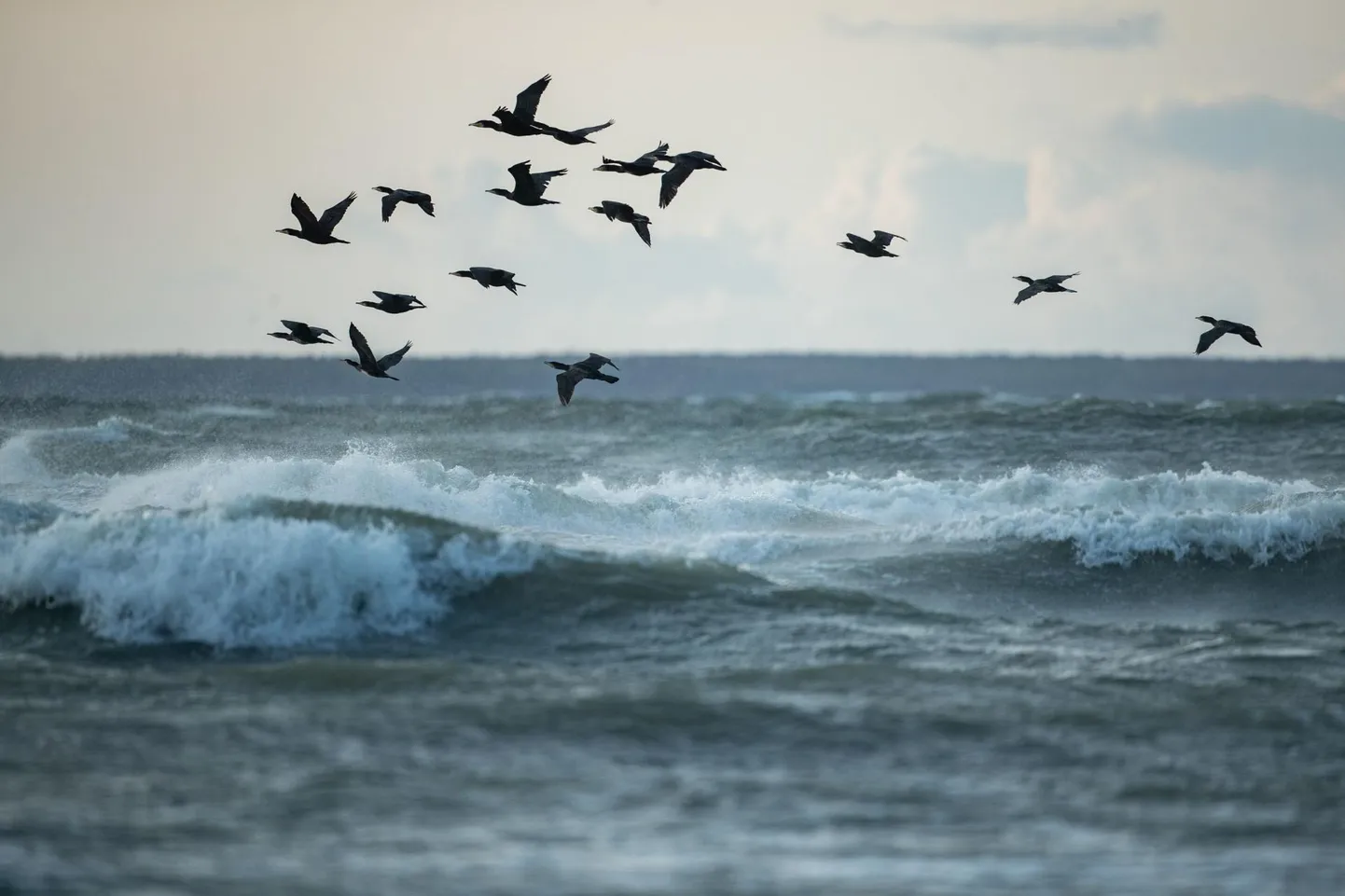 Osa merealast sai tugeva tuule hoiatuse