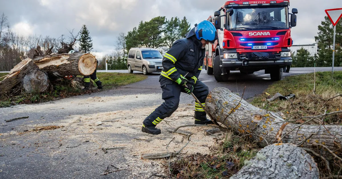 Tugev tuul tõi päästjatele palju tegemist