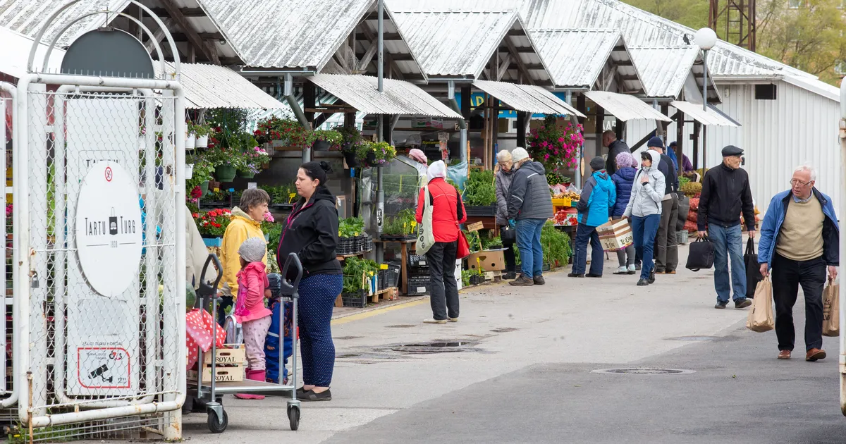 Tartu turg avab homsest maasika drive-in kauplemisvõimaluse