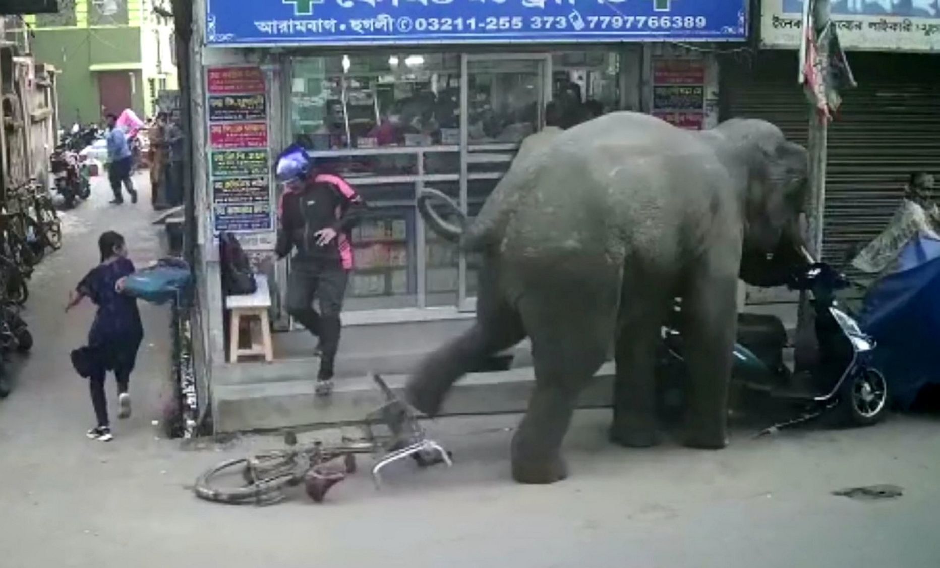 Indias püüti kinni kuus inimest tapnud riisimaias elevant