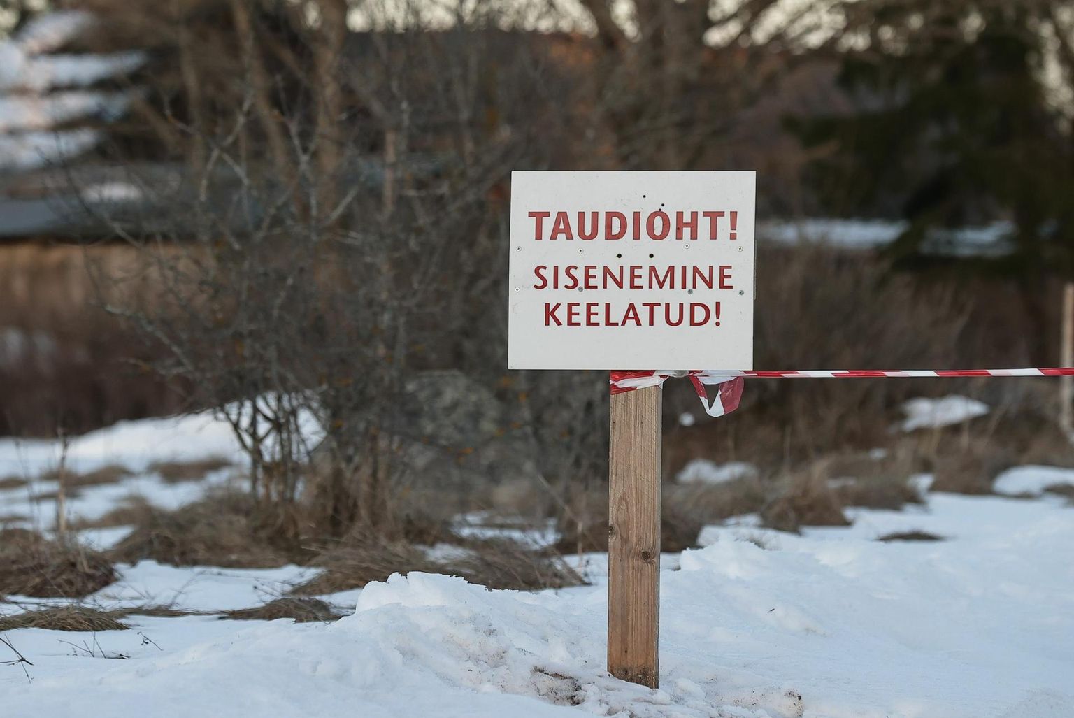 Surmava linnugripi puhang ohustab 30 linnukasvatajat