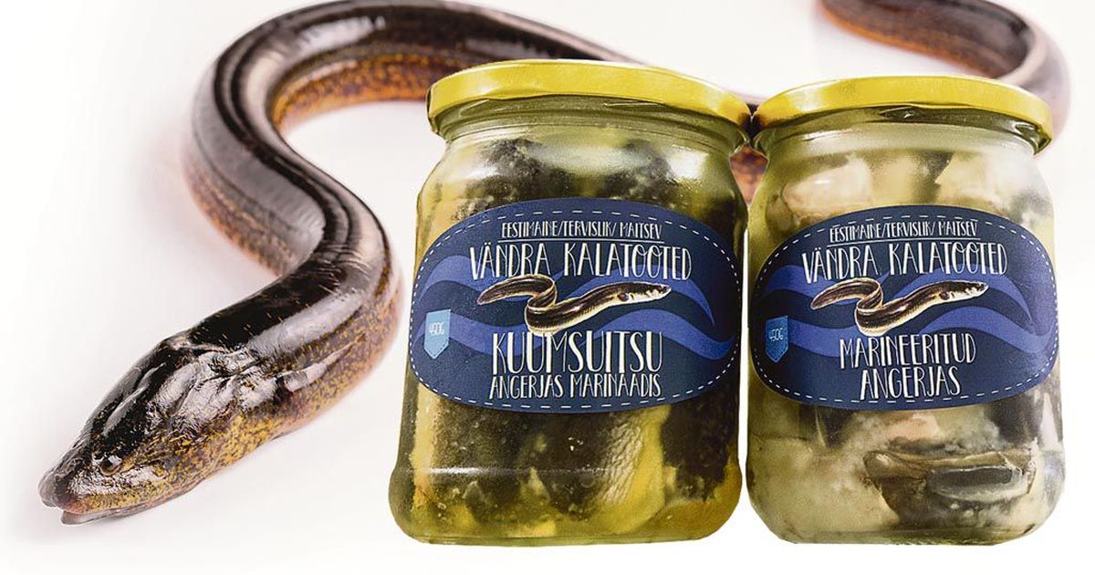 Vändrale toob karu asemel kuulsust angerjas