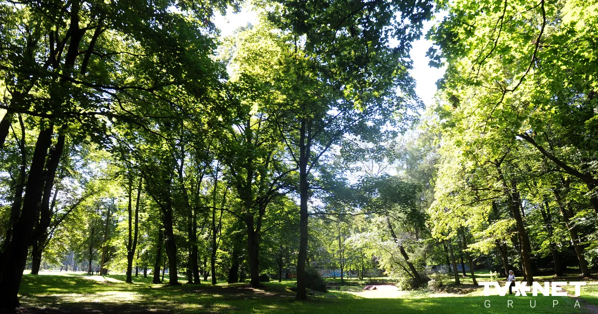 Aldara parku Sarkandaugavā pārdēvēs par Dauderu parku