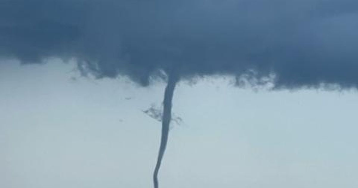 PILDID JA VIDEO Pärnu lahel möllas võimas vesipüks