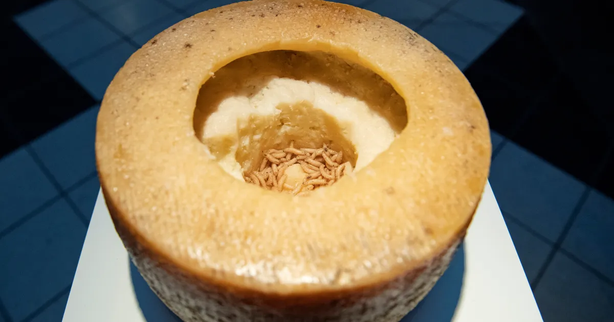 Maailma kõige ohtlikumaks nimetatud juustu saab seni ainult ühes paigas