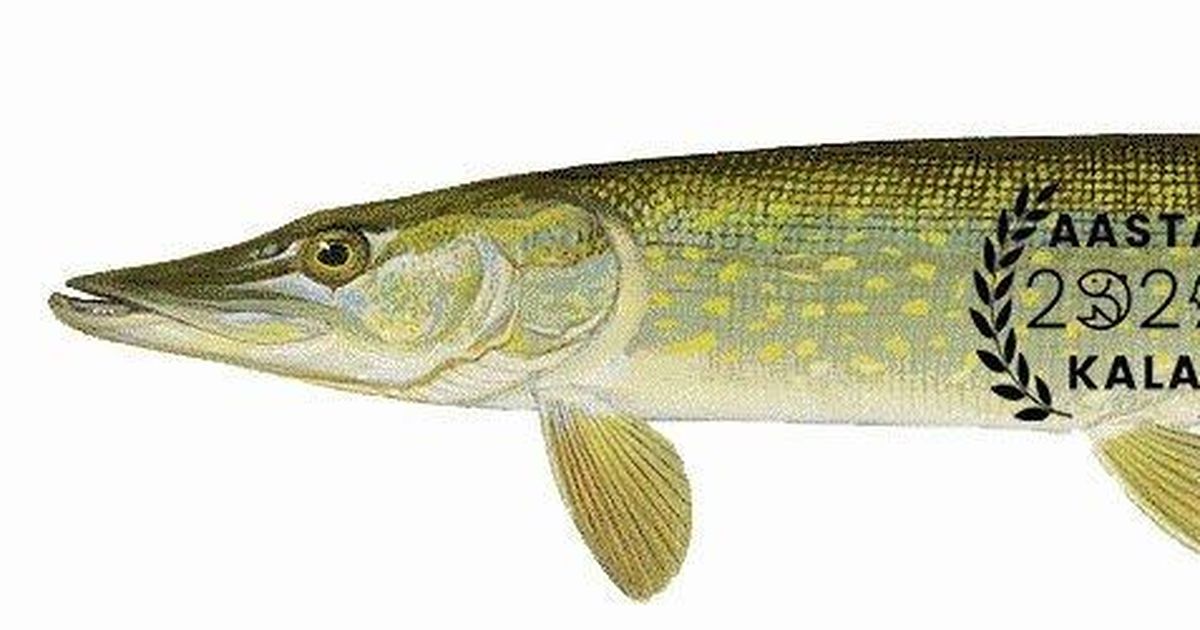 2021. aasta kala on haug