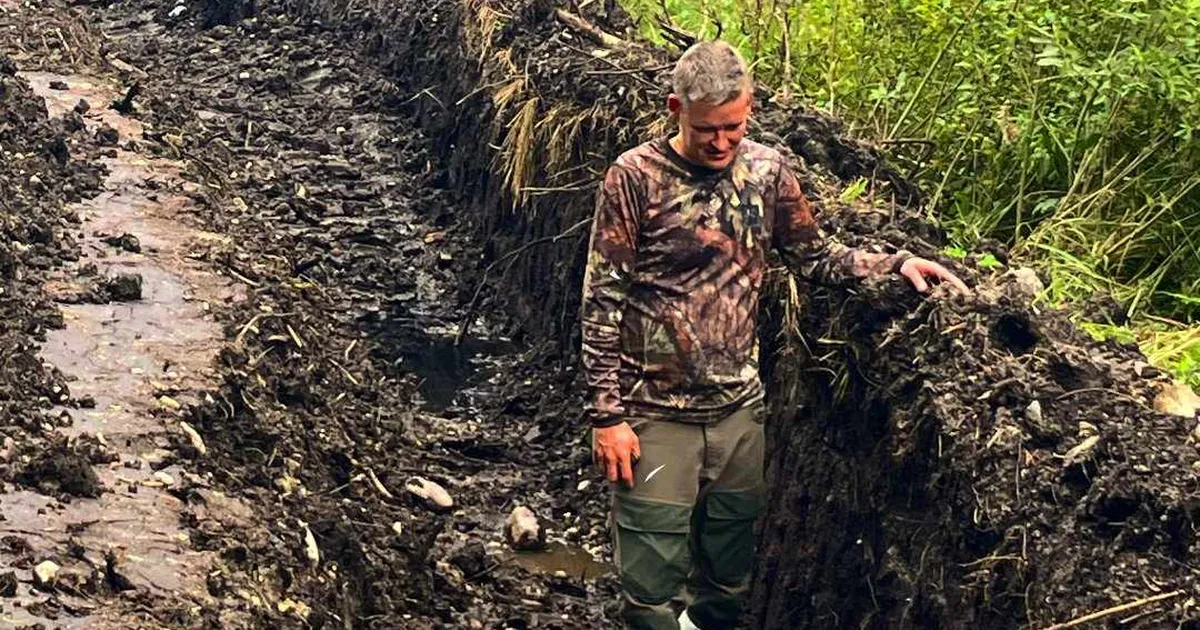 FOTOD Pärnumaa metsaalal laiutavad ulmelised hiigelvaod