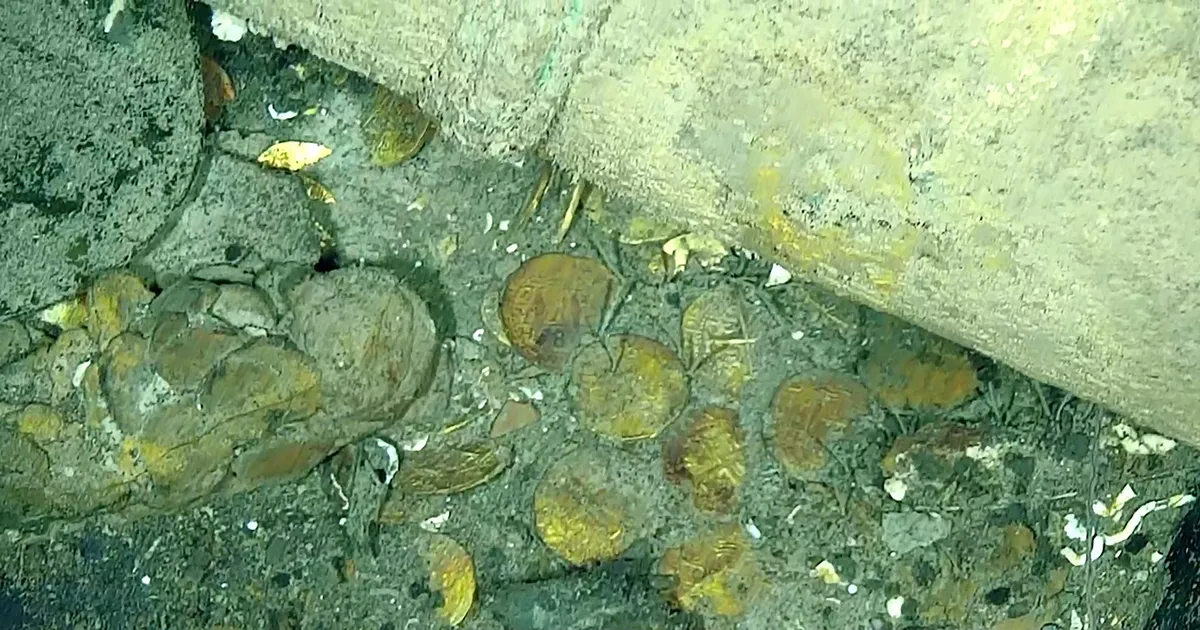 VIDEOD Jaht Kariibi mere põhjas olevale aardele, mille väärtus on 17 ...